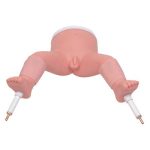 Infant Bone Marrow Puncture Model AM-L65B – Orthoflex